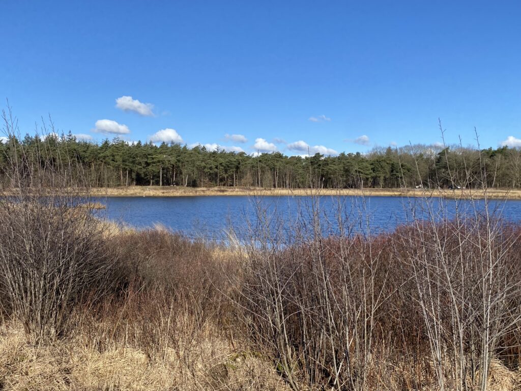 Caroline van der Plas - Wilma ter Mull